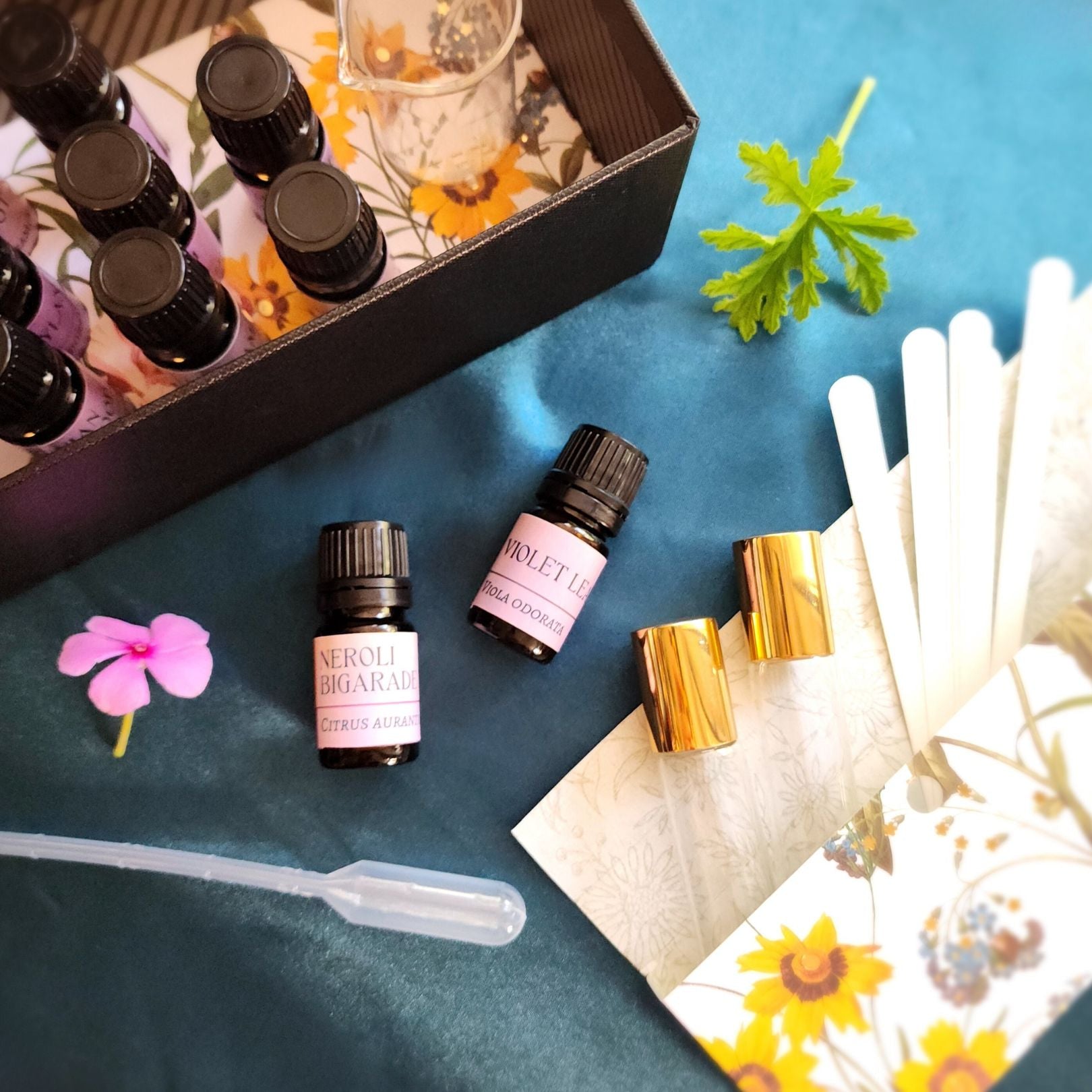 DIY PERFUME KIT - Make Your Own Perfume - THE PARFUM APOTHECARY – The ...