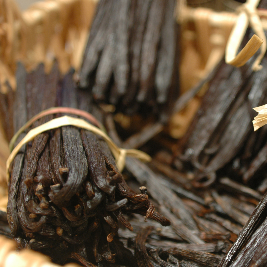 Vanilla Fragrance Accord - Perfumery Base – The Parfum Apothecary